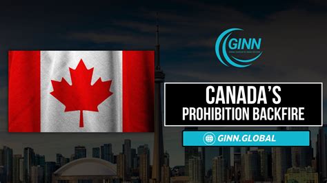 Canadas Nicotine Pouch Ban One Year On Illicit Markets Thrive