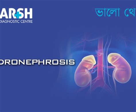 Meningitis Vs Encephalitis Sparsh Diagnostic Center