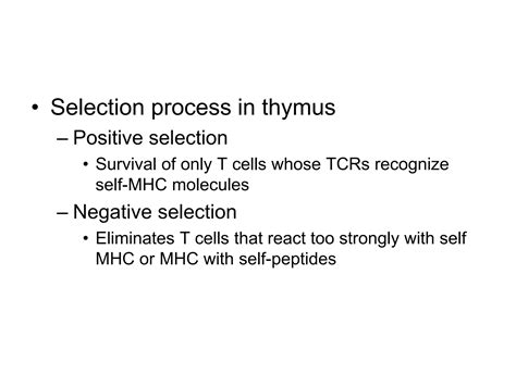 T Cell Development Maturation Activation And Differentiation Pptx