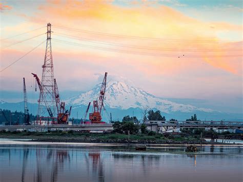 Snail Eradication Efforts Wa Grains