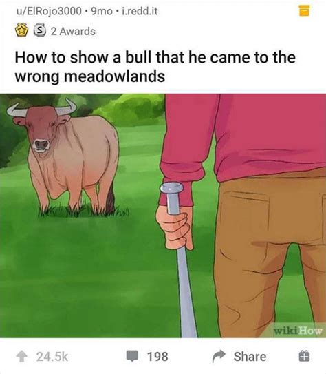 Wikihow Weird Articles 51 Pics