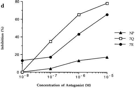 Ctl Recognition And Antagonism By Naturally Occurring P17 Variants