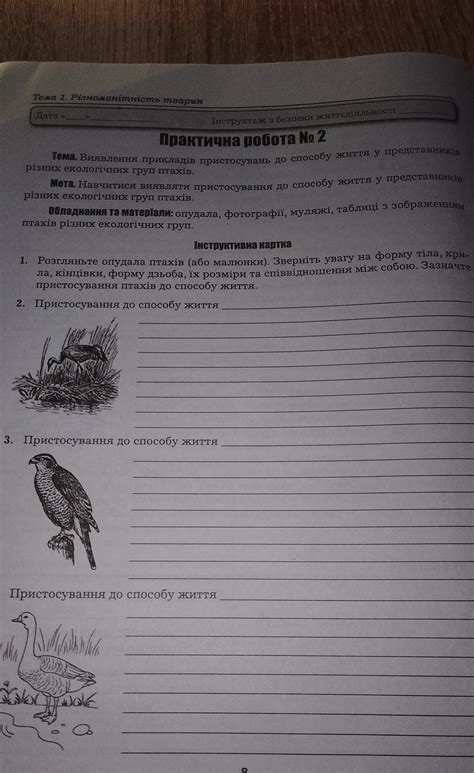Практична робота № 2 Тема Виявлення прикладів пристосувань до способу життя у представників