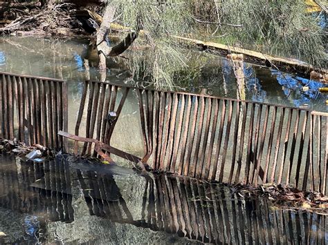 Sydney Water Gpt Auditing Optimal Stormwater