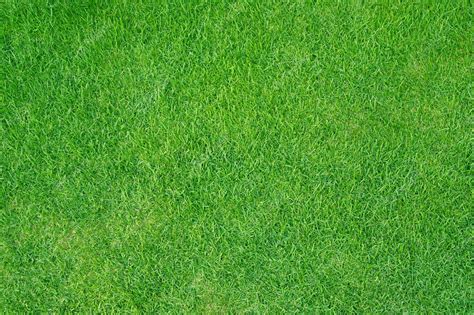 인조 잔디 필드 초원 녹색 평면도 텍스처 프리미엄 사진