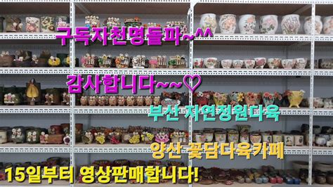 구독자 천명돌파♡감사합니다~ 15일부터 예쁘고 특이한 화분 착한가격으로 영상판매 시작합니다~꽃담다육카페 Youtube
