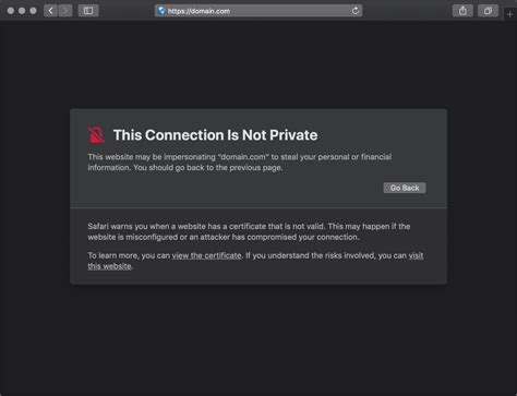 what is a privacy error scangor