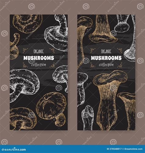 Two Labels With Lentinula Edodes Aka Shiitake And Pleurotus Eryngii Aka King Oyster Mushroom