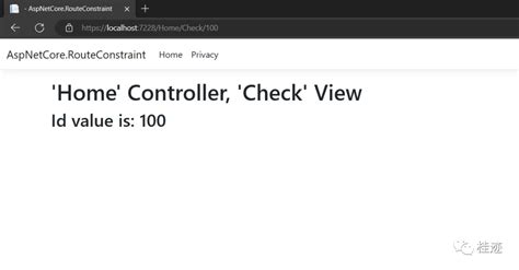Aspnet Core 路由约束aspnetcoreratelimit 指定路由限制 Csdn博客