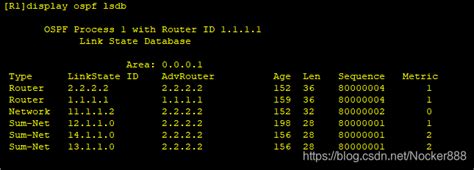 ospf五类lsa类型详解 ospf 5类lsa csdn博客