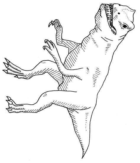 Gasosaurus Pictures And Facts The Dinosaur Database