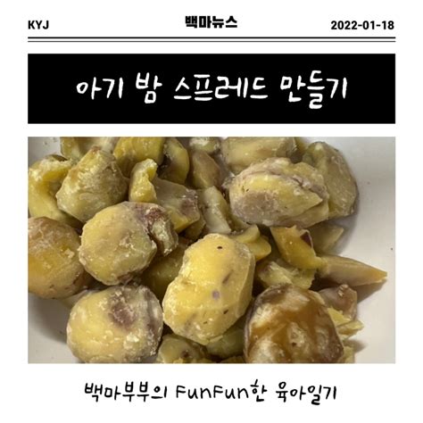 가을 제철음식 아기도 먹을수 있는 밤잼 밤스프레드 만들기