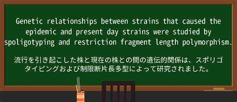 【英単語】fragment Length Polymorphismを徹底解説！意味、使い方、例文、読み方 おもしろい英文法