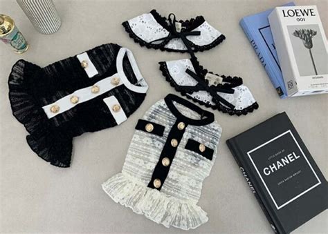 바일라 샤 시스루 크롭 티셔츠 강아지 옷 에이블리