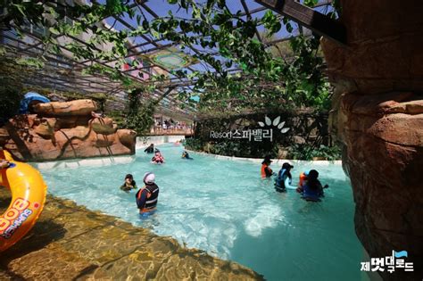 대구 워터파크 스파밸리에서 즐기는 삼바축제와 풀파티~ 네이버 블로그