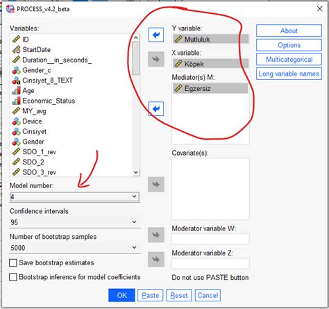 Spss Ile Aracı Değişken Mediation Analizi — Resimli Spss Yardimi