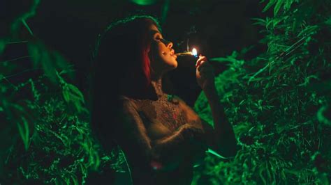 Tutorial Mod Paradox Mods