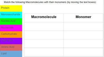 Macromolecules Matching And Research By Creating A Contemplative Class