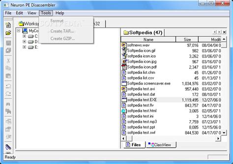Neuron Pe Disassembler Download Softpedia