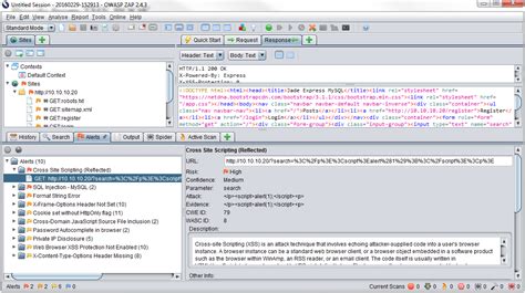 Securing Web Applications Part 3 Cross Site Scripting Attacks