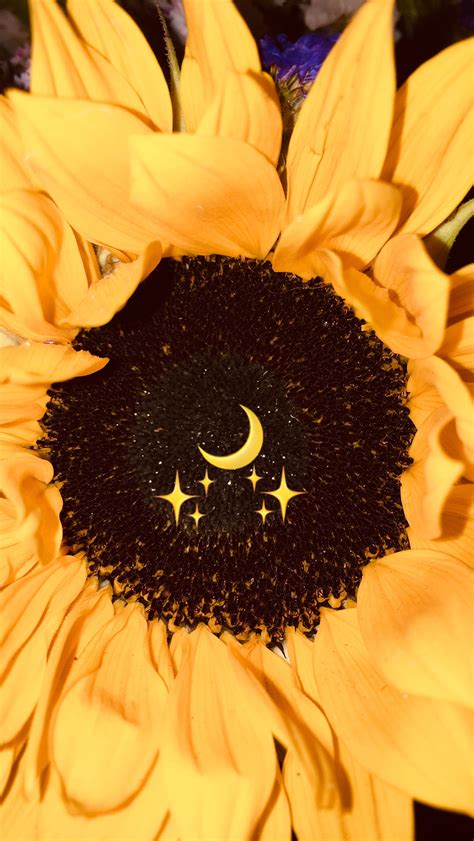 Tumblr Tumblr Wallpaper Photos Sacred Feminine Feminine Pictures Wallpapers Tumbler