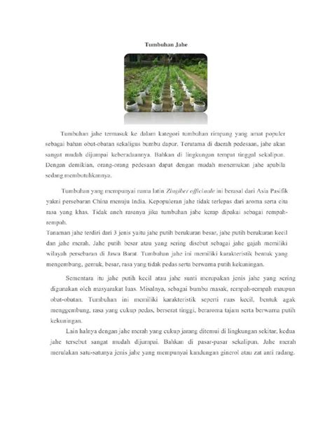 Tumbuhan Jahe Pdf