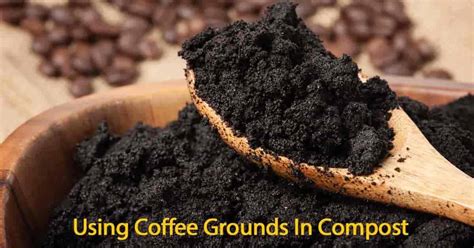 Coffee Grounds In Compost What Are The Benefits
