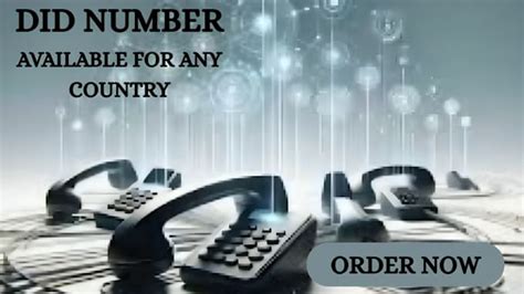 Set Up Your Outbound And Inbound Calls For Any Did Number By