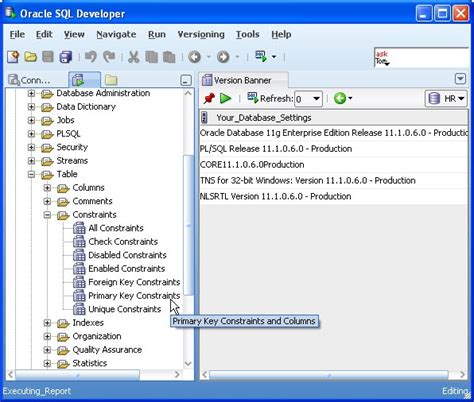 How To Run Or Create Reports Using Sql Developer