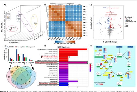 Figure 2 From Comparative Transcriptome And Metabolome Analysis Reveal Key Regulatory Defense