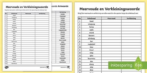 Meervoude En Verkleiningswoorde Aktiwiteit