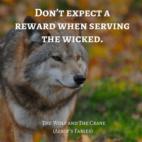Quotes From Fables
