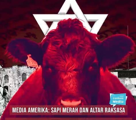 Umat Yahudi Sudah Siapkan Sapi Merah Untuk Dikorbankan Dan Altar Raksasa Upacara Penghancuran