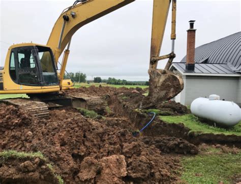 Rooting Out Tree Roots From Your Septic System Streamline Environmental Drainage