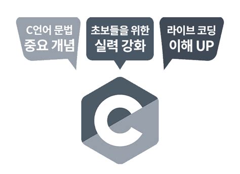 홍정모의 따라하며 배우는 C언어 강의 홍정모 인프런