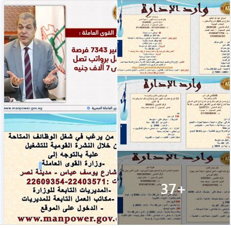 للمؤهلات العليا والدبلومات وبدون مؤهلاعلان وظائف وزارة القوي العاملة