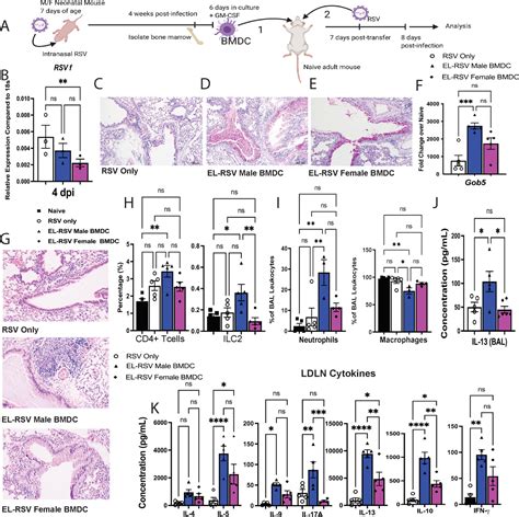 Sex Associated Early Life Viral Innate Immune Response Is