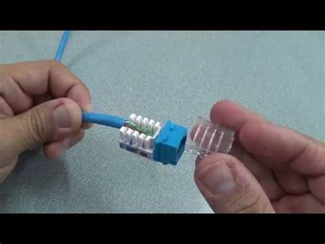 Ensamble Rj45 Hembra Con Utp Youtube