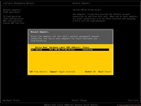 Configuring VMware ESXi