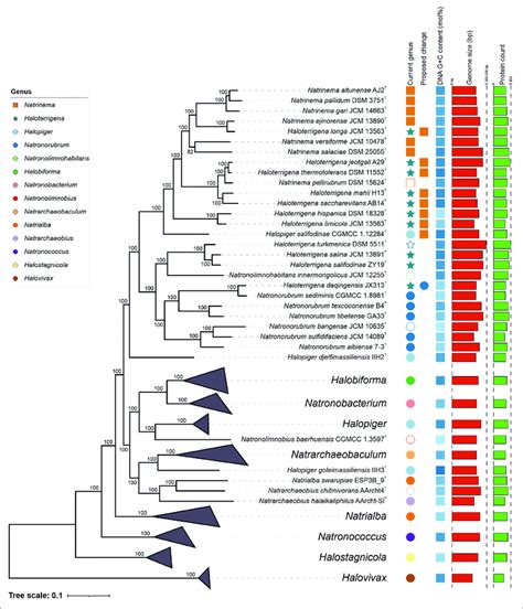 Approximate Maximum Likelihood Phylogenomic Tree Based On The Download Scientific Diagram