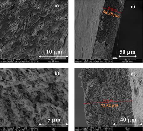 Sem Cross Sectional Micrograph Of A Cspta Membrane With Tio2