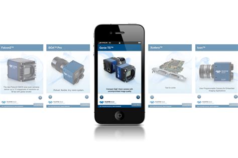 Mrmass Interactive® Building Connections Through Dynamic Design