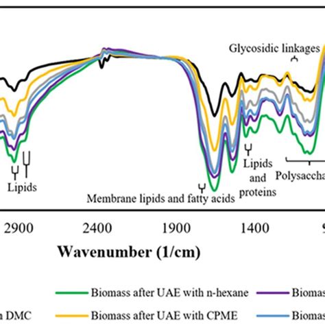 Lipid Extraction Yield Of Chlorella Sp Extracted Using Different Download Scientific Diagram