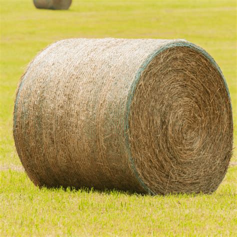 Bale Net Wrap Round Bale Net Wrap Manufacturers Eyouagro
