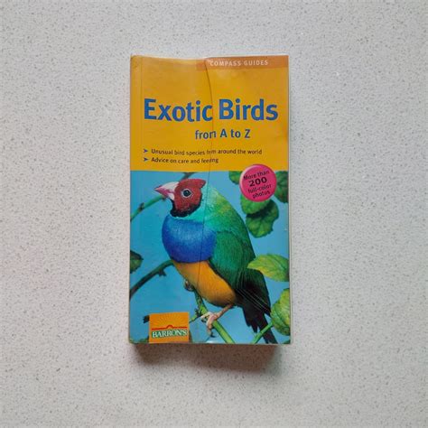 Exotic Birds From A To Z By Compass Guides Hobbies And Toys Books
