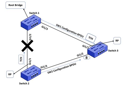 Spanning Tree Protocol STP Topology Changes Study CCNP