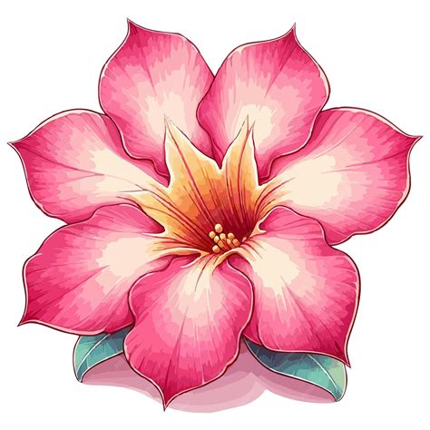 Premium Vector Adenium Flower Vector 9