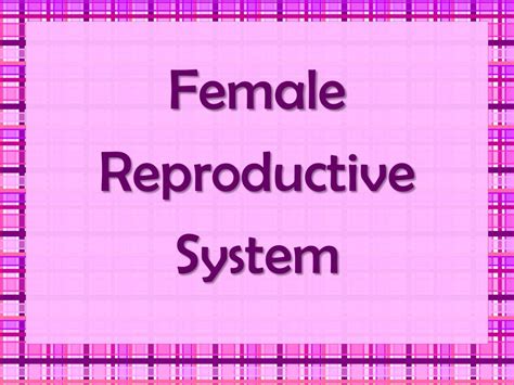 PPT Female Reproductive System PowerPoint Presentation Free Download ID