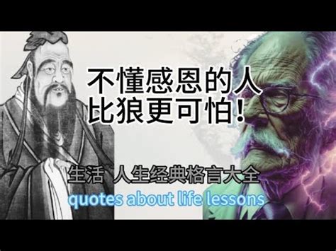 不懂感恩的人比狼更可怕 YouTube