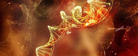 Epi2me Labs 220801 Release Epi2me Blog